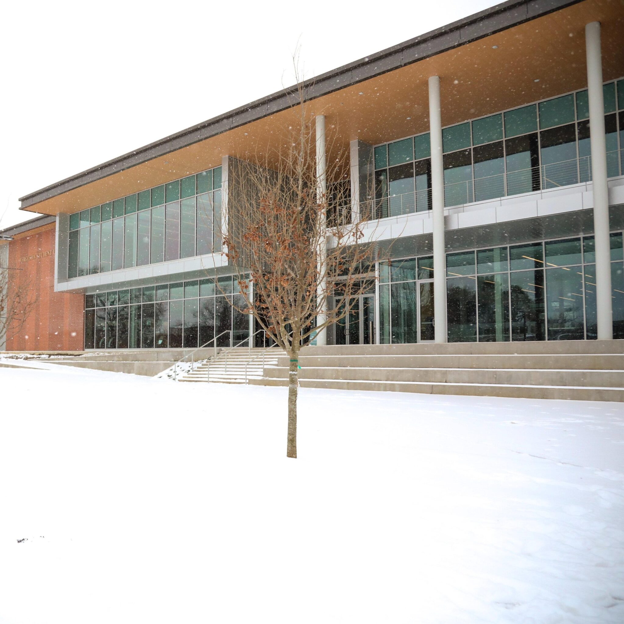 Jimmy and Cindi Ferguson Student Union: What to Expect – The Arka Tech